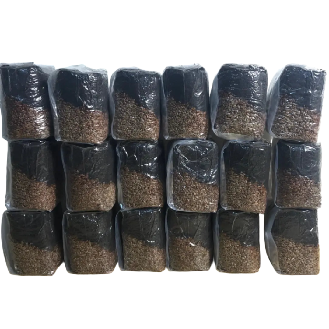 All In One Mushroom Grow Bag Bundle 18 Count – Mushroom Spawn Store