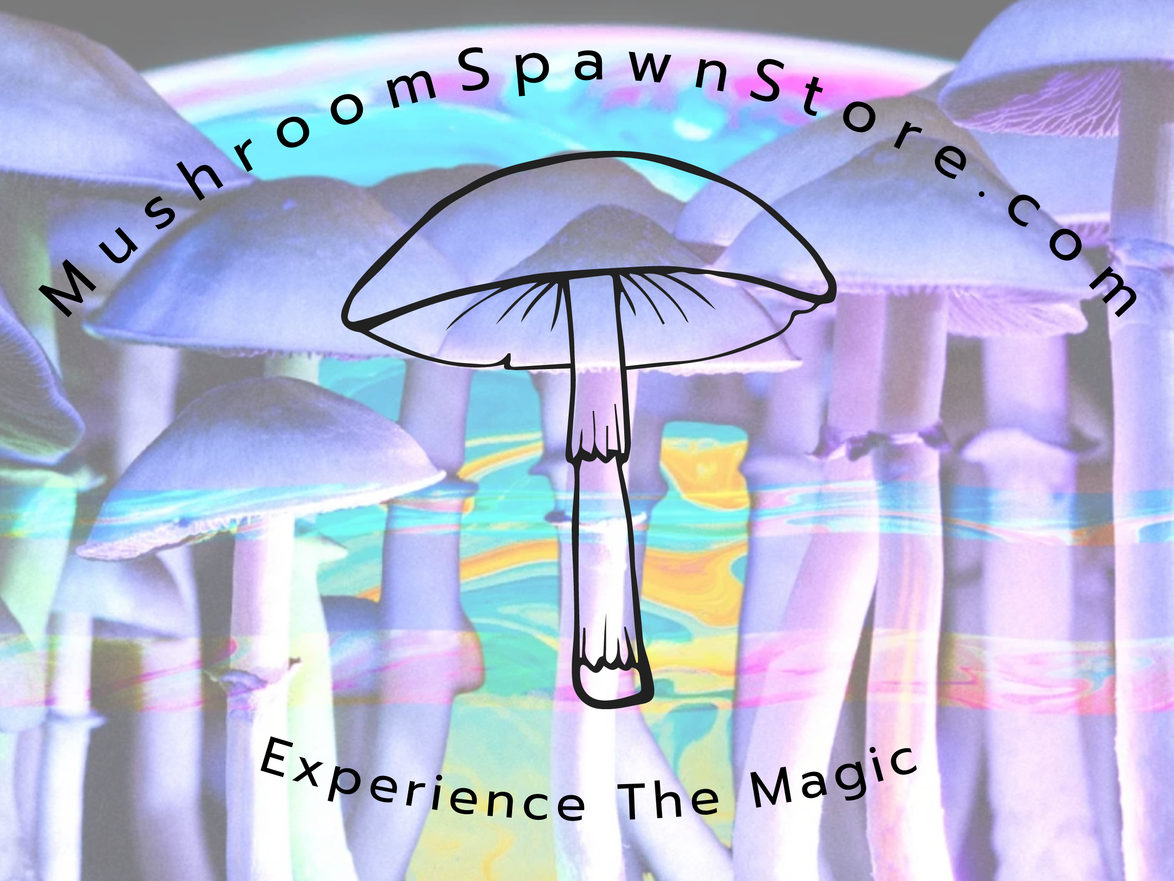 All Products – Mushroom Spawn Store
