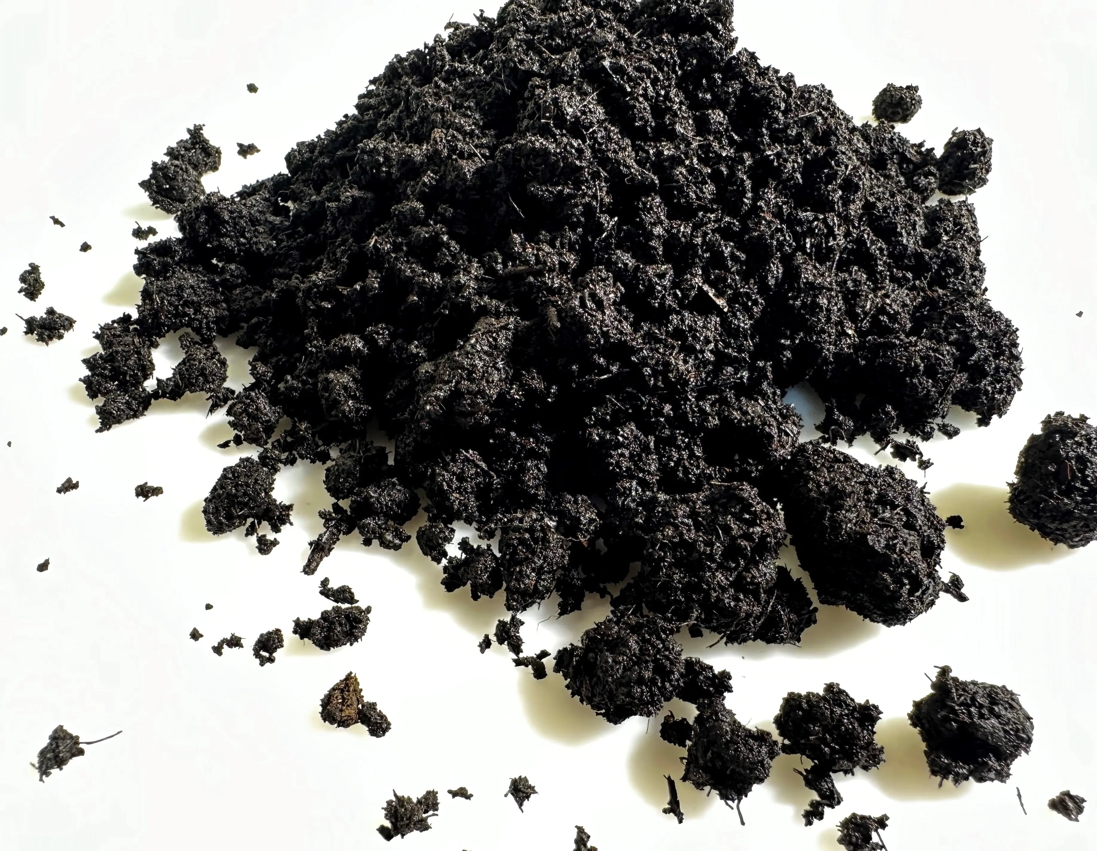 Magic Mushroom Grow Kits – Mushroom Spawn Store