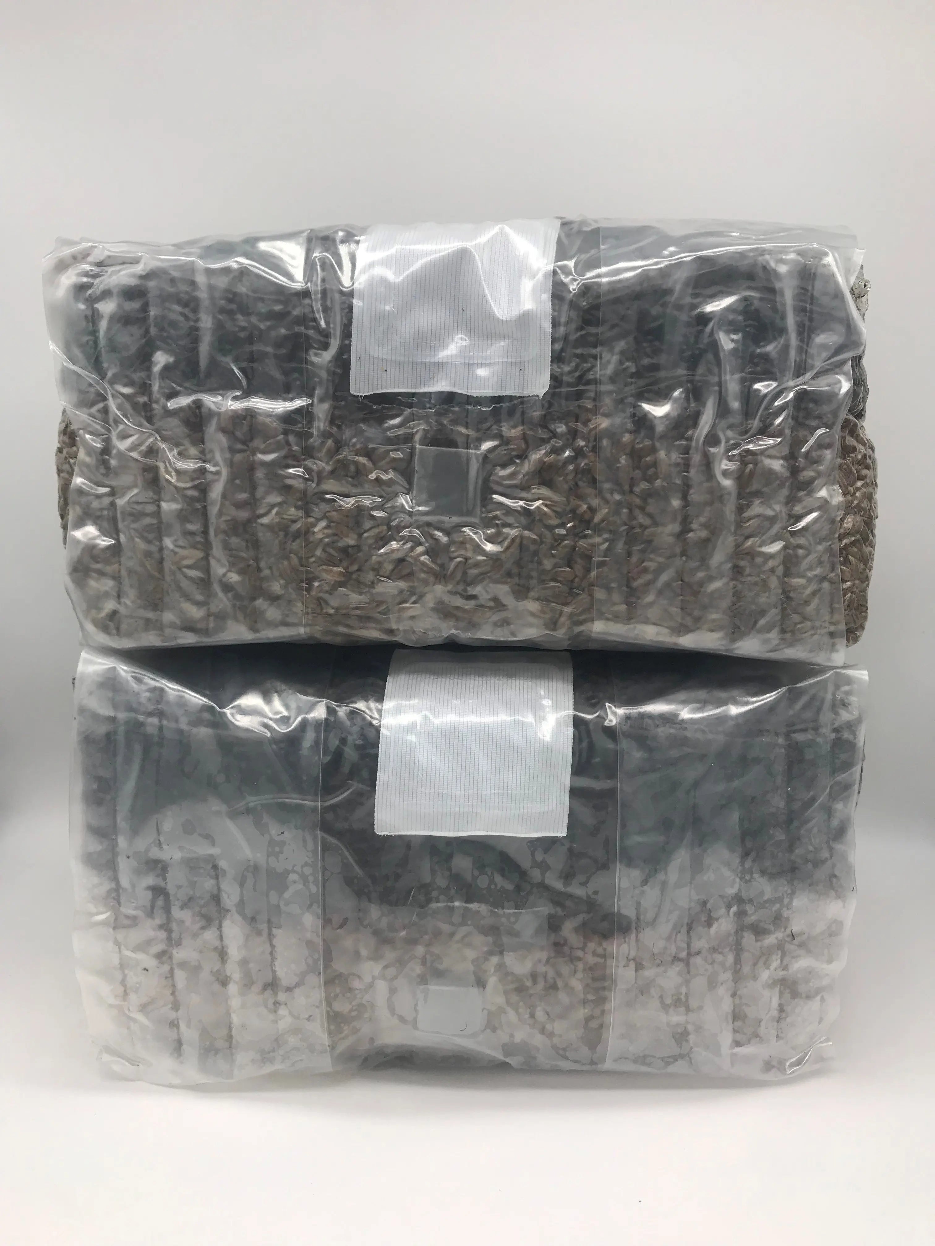 2-Pack 6 Pound Mushroom Grow Kit In A Bag – Mushroom Spawn Store