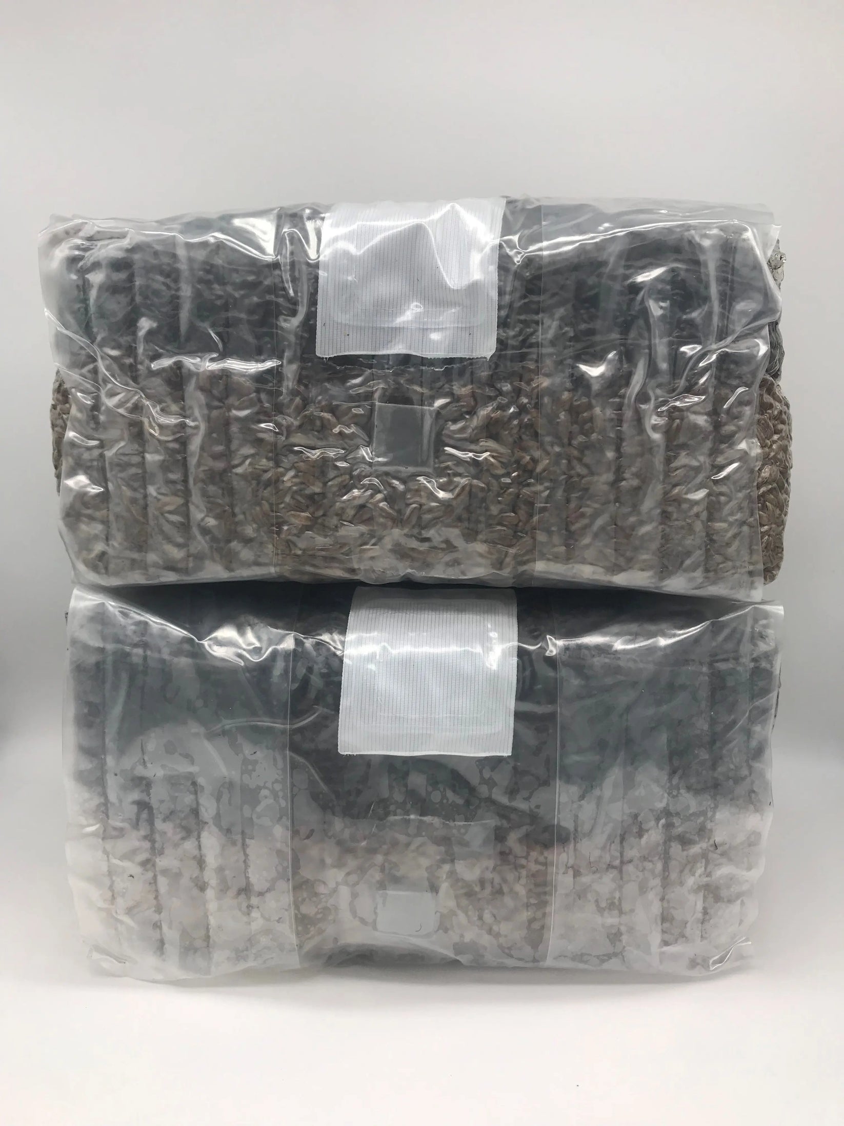 2-Pack 6 Pound Mushroom Grow Kit In A Bag – Mushroom Spawn Store