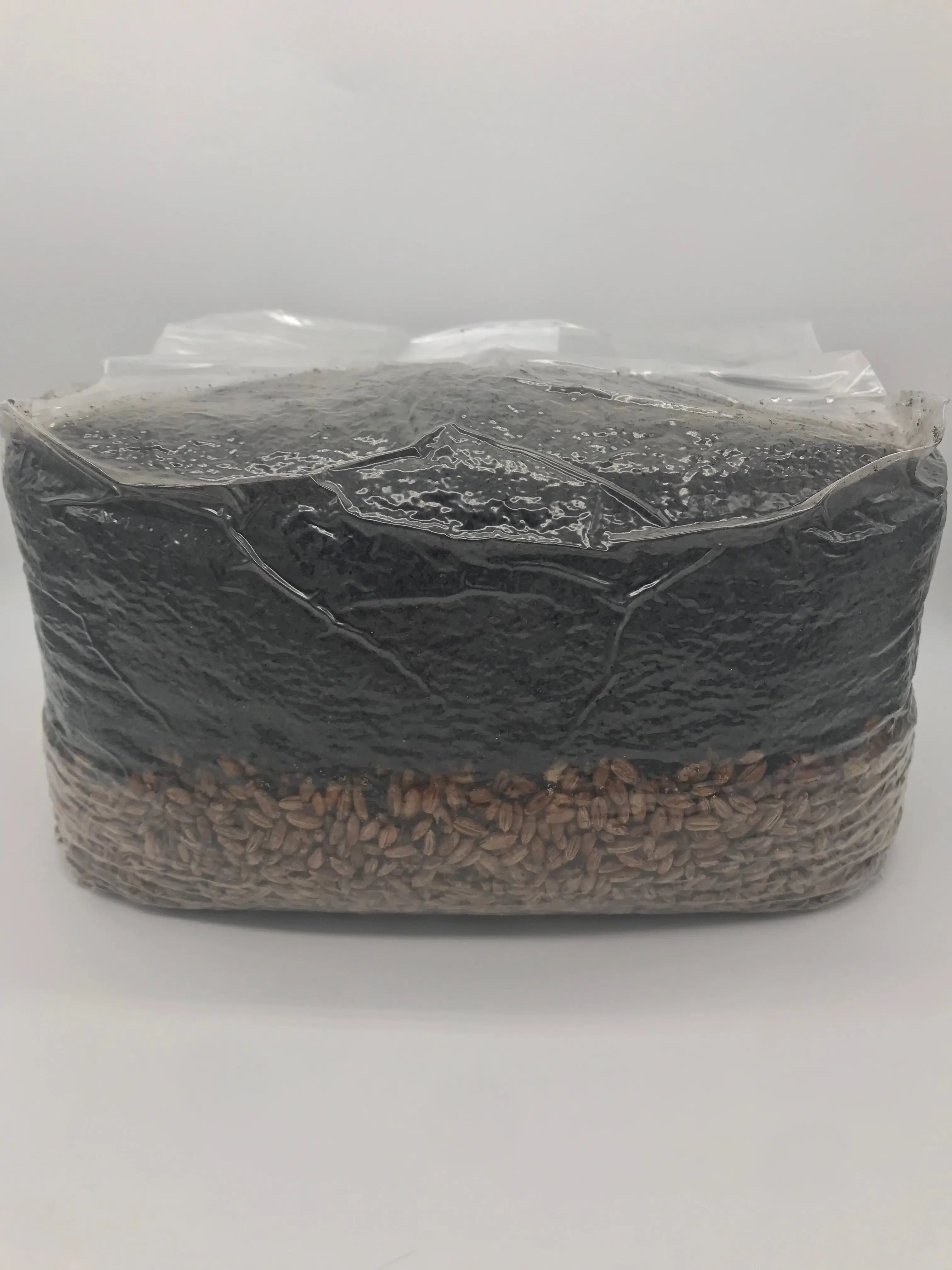6 Pound All In One Magic Mushroom Grow Bag – Mushroom Spawn Store