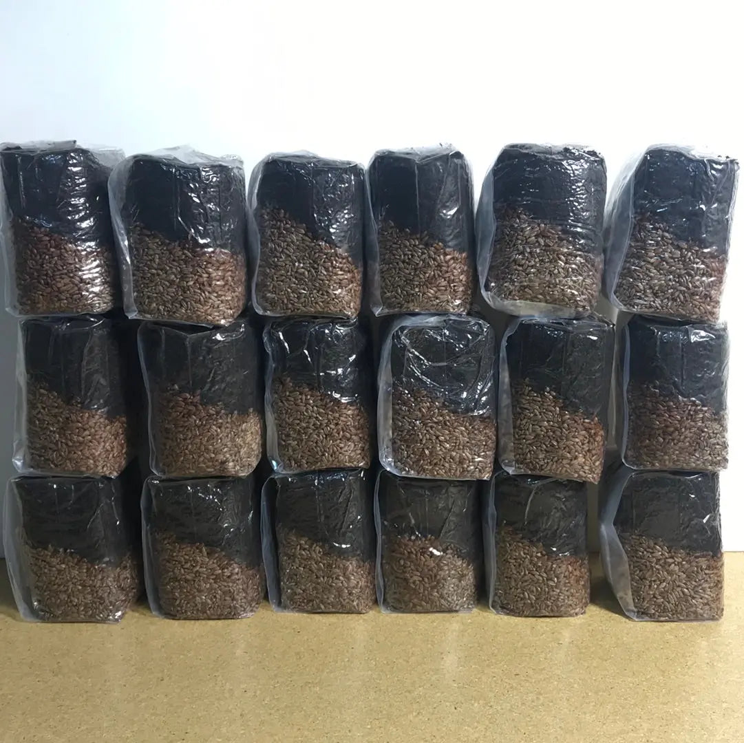 All In One Mushroom Grow Bag Bundle 18 Count – Mushroom Spawn Store