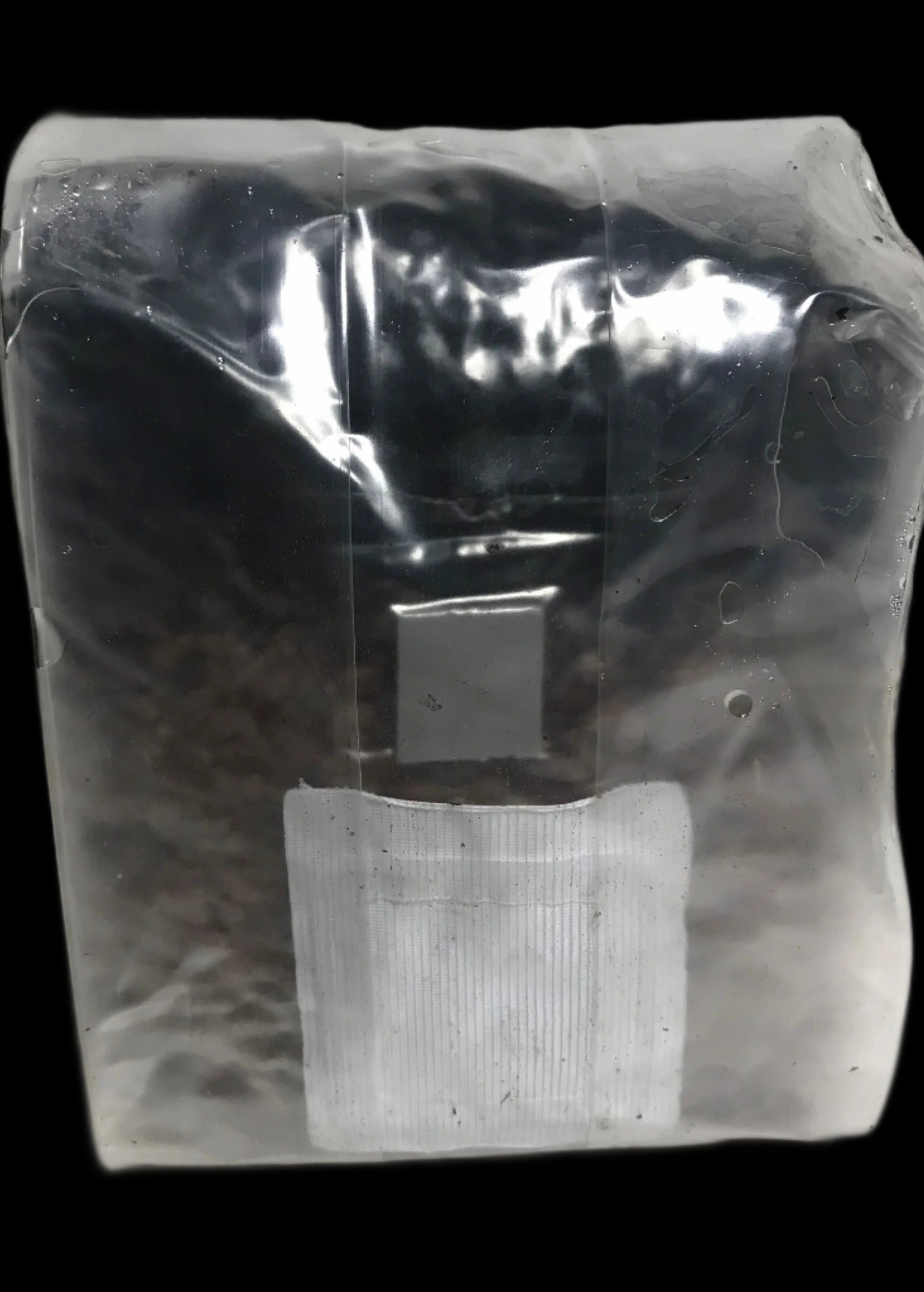 Mini All In One Mushroom Grow Bag – Mushroom Spawn Store
