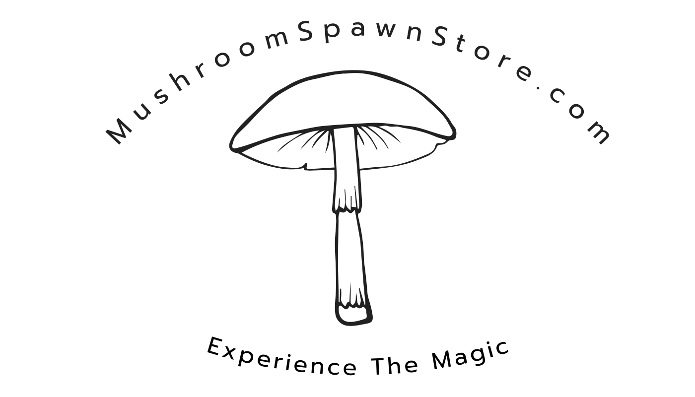 Wholesale And Private Label Magic Mushroom Grow Kits – Mushroom Spawn Store