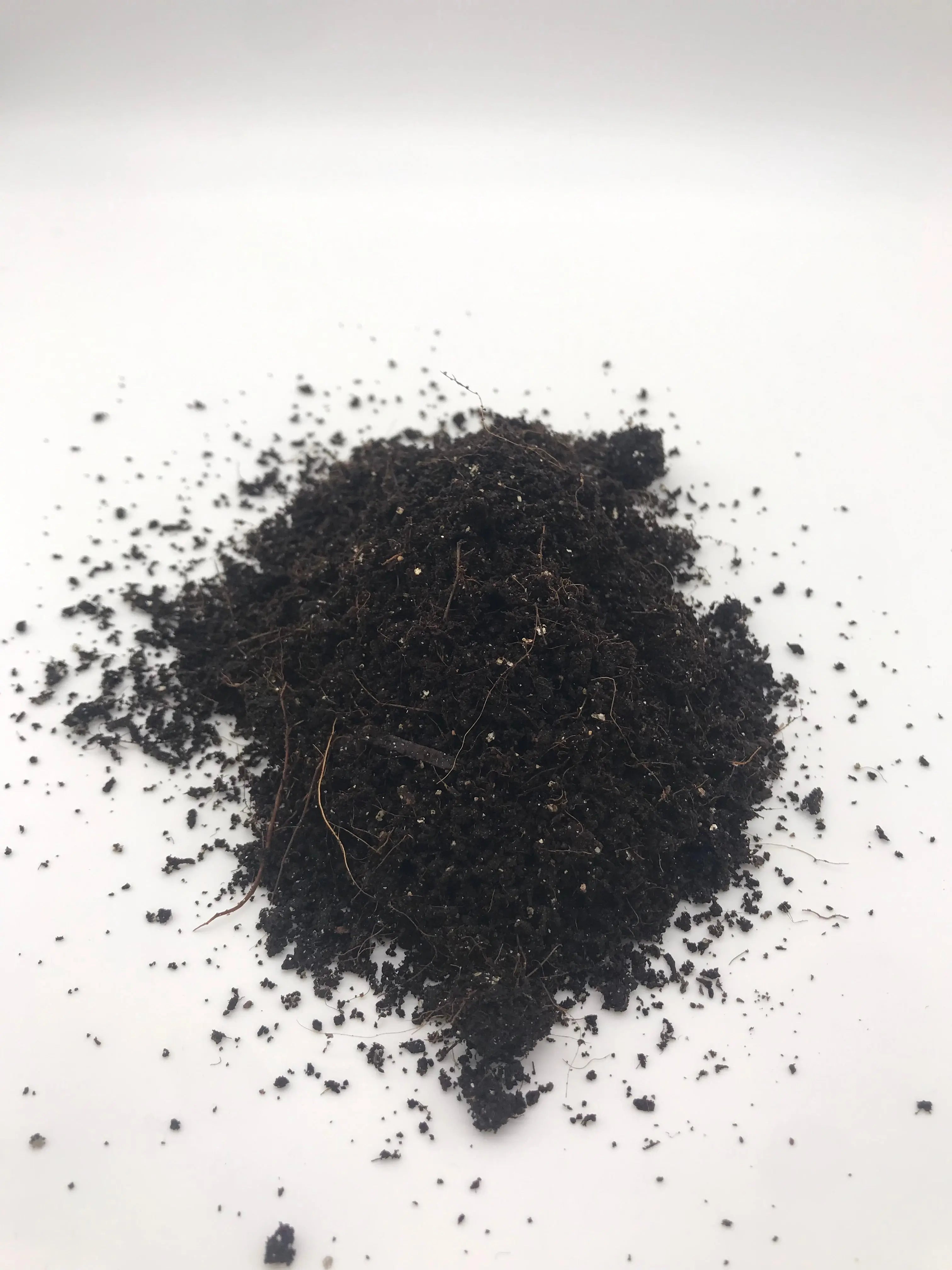 CVG Substrate │ Nutrient-Rich & Sterilized – Mushroom Spawn Store