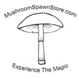 Best Mushroom Growing Conditions for First-Try Success – Mushroom Spawn ...