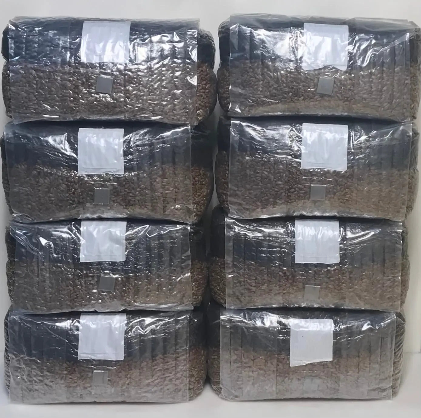 Magic Mushroom Grow Kit In A Bag MEGA BUNDLE – Mushroom Spawn Store