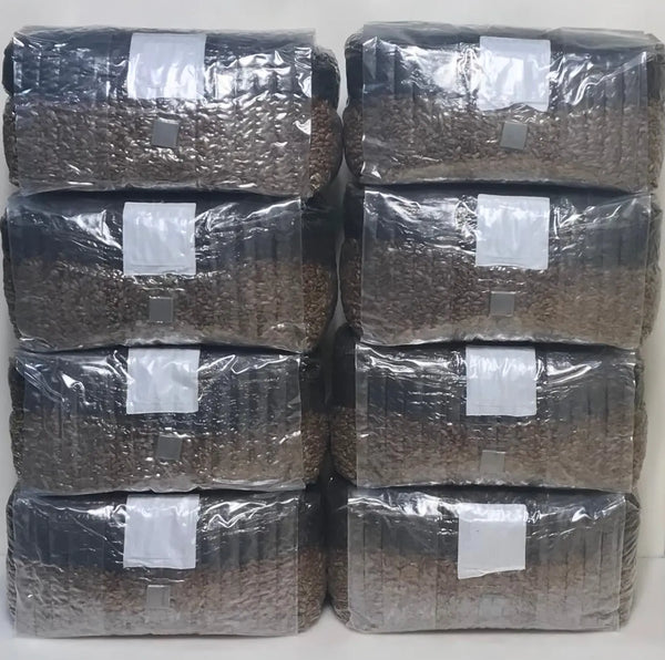 Magic Mushroom Grow Kit In A Bag MEGA BUNDLE – Mushroom Spawn Store