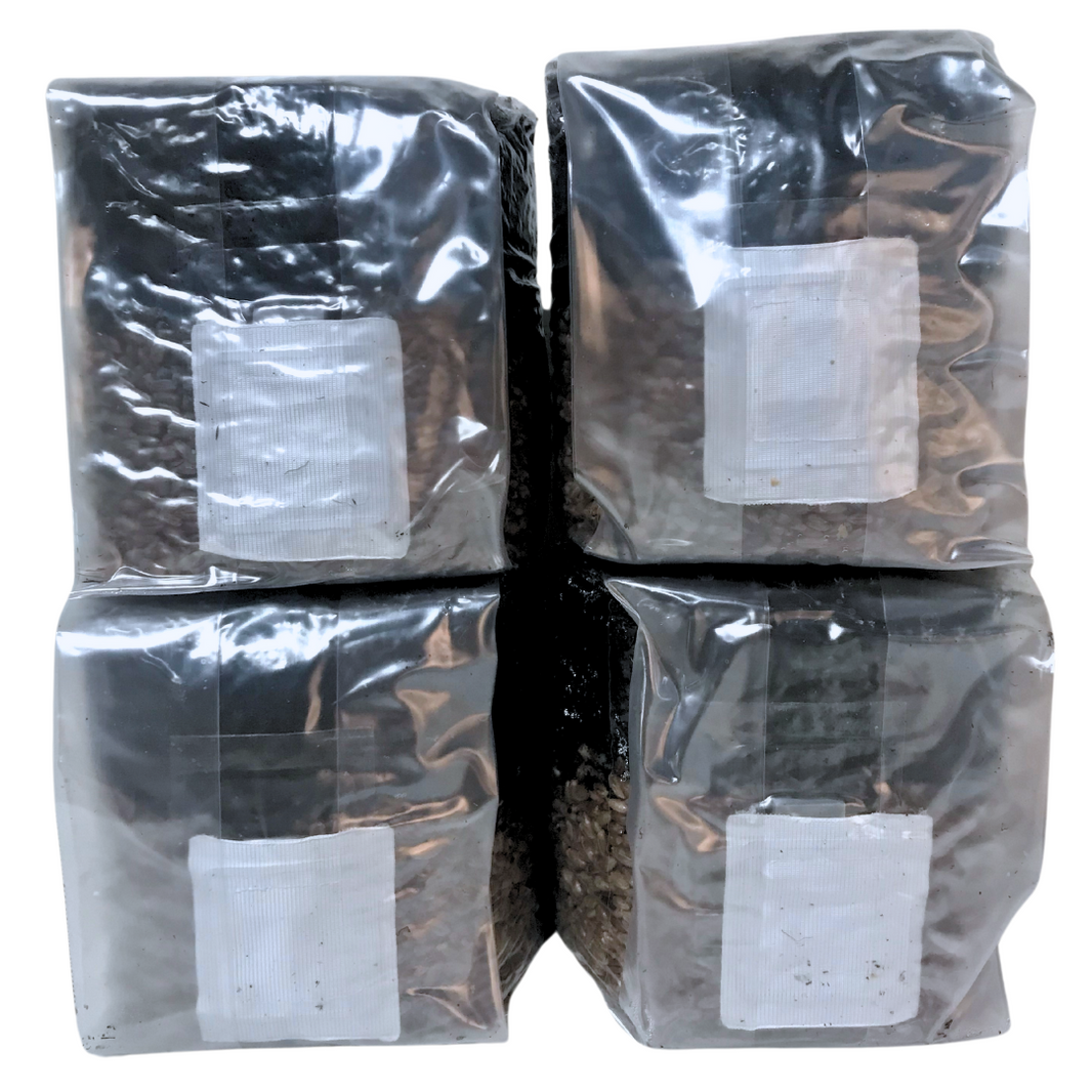 Buy The Best Mushroom Grow Bags, And Mushroom Supplies! – Mushroom ...