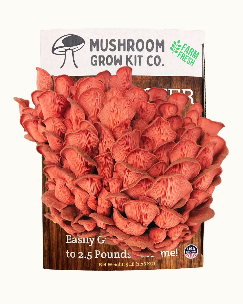 Premium Pink Oyster Mushroom Growing Kit - 5 LBS – Mushroom Spawn Store